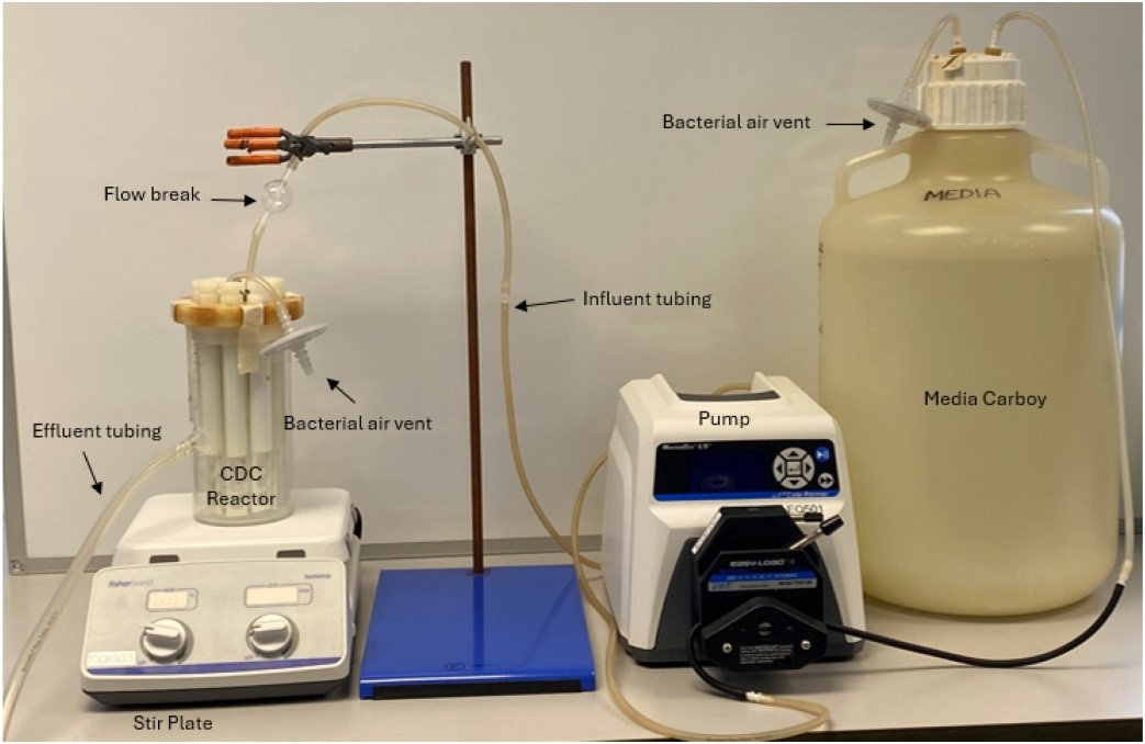 Sodium dichloroisocyanurate: a promising candidate for the disinfection ...